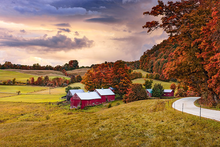 Rural Area